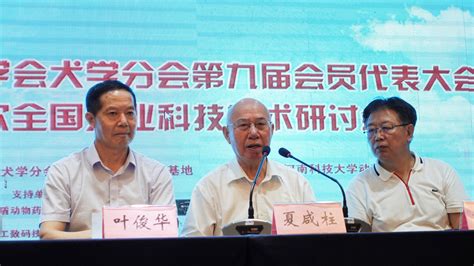精神医疗抚慰犬学术报告亮相中国犬业科技学术盛会 哔哩哔哩