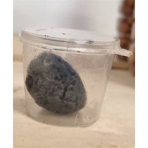 Ogiri Akins Food Trusted African Food Shop In Uk