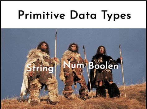 Understanding Primitive Data Types In Programming