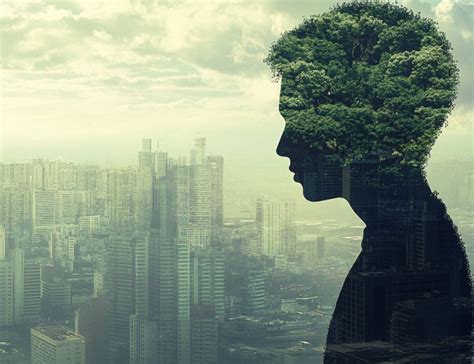 Limbic System Dysfunction Symptoms And Therapy