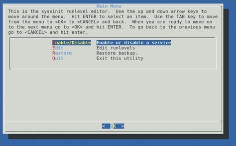 How To Configure Startup Services In Debian Lenny