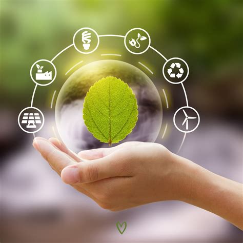 Green Talk La Parola Sostenibilità Pisa Pisanews