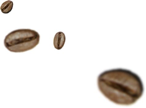 Coffeescript Application Development Services Algoworks