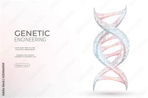 Dna Polygonal Genetic Engineering Abstract Background The Isolated