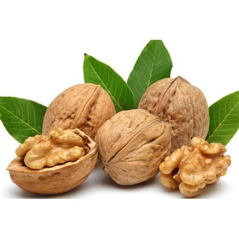 Грецкий орех в скорлупе Чили мешок 10 кг купить в Москве по лучшей цене в магазине Золотой Орех