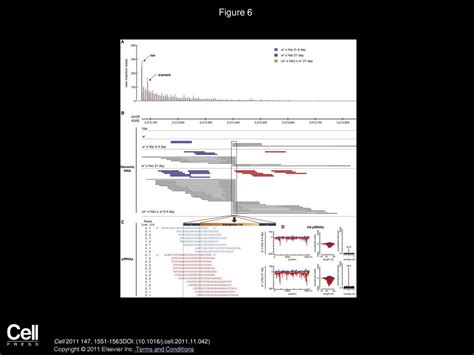 Adaptation To P Element Transposon Invasion In Drosophila Melanogaster