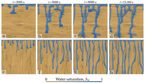 Water Infiltration In Soil