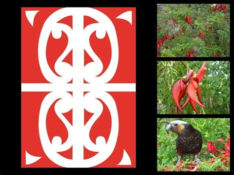 Kowhaiwhai Pattern Kowhai Ngutu Kaka Parrots Beak