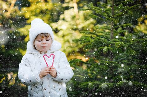 크리스마스 트리와 달콤한 사탕 지팡이를 들고 사랑스러운 어린 유아 소녀 시장에 야외 상점에서 Xmas 나무를 선택하고 구입하는 겨울 옷에 행복한 아이 아이 가족 전통 축하