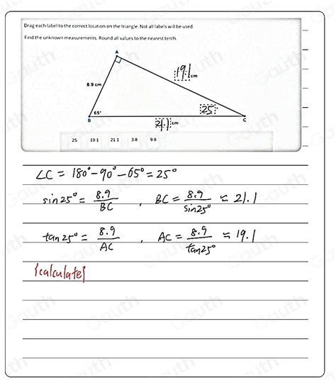 Solved Drag Each Label To The Correct Location On The Triangle Not All Labels Will Be Used