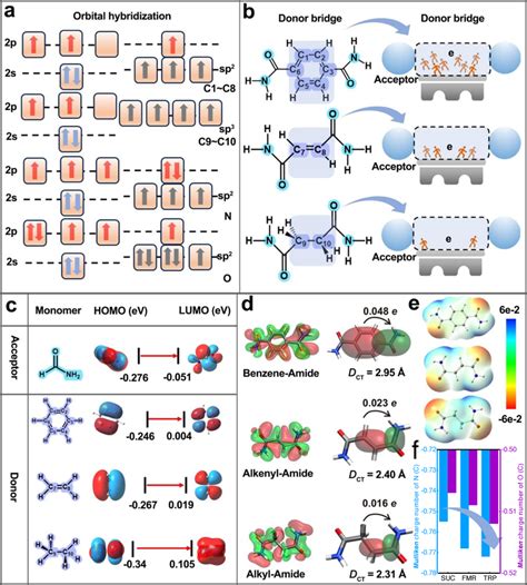 A The Orbital Hybridization Models Of Various Atoms B The Download Scientific Diagram