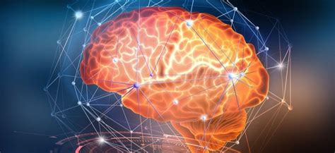 Understand The Mysteries Of Your Amazing Brain By Pradeep Bhatt