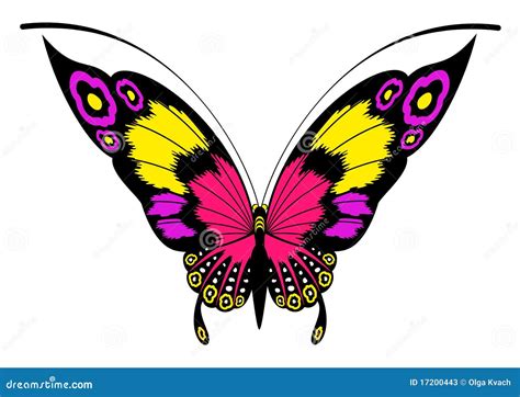 Beautiful Butterfly For A Design Stock Vector Illustration Of Butterfly Graphics 17200443