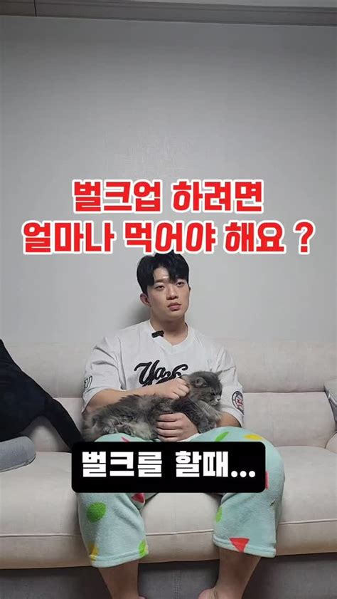 군산피티 군산헬스 군산트레이너 유현동 남자는 팔뚝 아닙니까 ‼️‼️ 지금 미리 준비해야 내년 여름에 꽉 끼는 팔뚝 만들수 있습니다 짧고 굵게 슈퍼세트 가보시죠😎😎