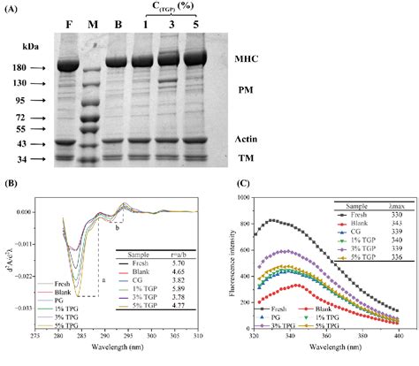 Figure 3 From The Cryoprotective Effect Of An Antifreeze Collagen