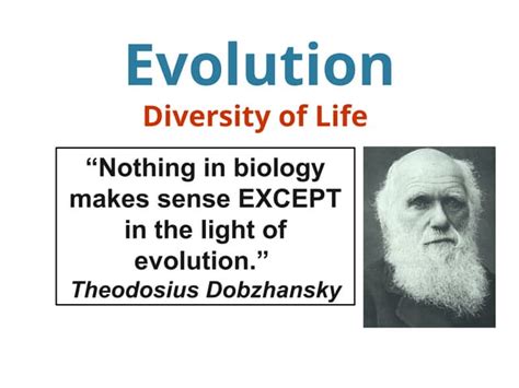 Student Evolution And Natural Selectionpptx