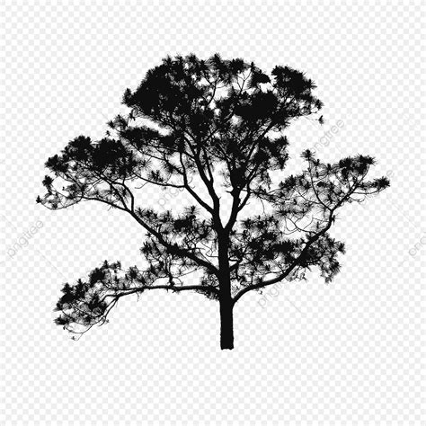 Tree Vector Png Free 10 Free Cliparts Download Images On Clipground 2024