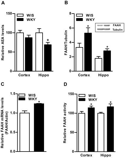 The Level Of Ecb Aea Was Found To Be Significantly Lower In Download Scientific Diagram