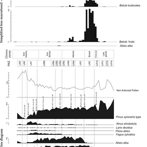 Simplified Tree Pollen And Macrofossil Diagrams All Pollen Percentages