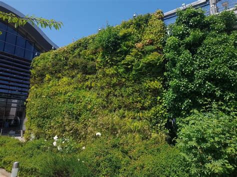 Viritopia On Linkedin Livingwalls Maintenance Urbangreening