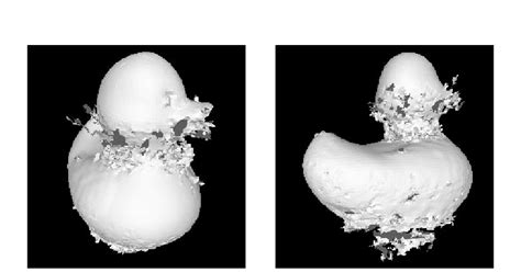 The Result Of The Naive Algorithm Algorithm Closestsigneddistance On