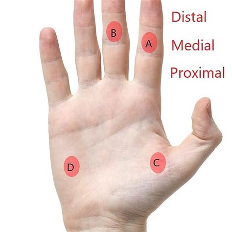 Pdf Electrodermal Activity Fundamental Principles Measurement And Application