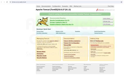 Apache Tomee Hosting Accuweb Cloud Guide