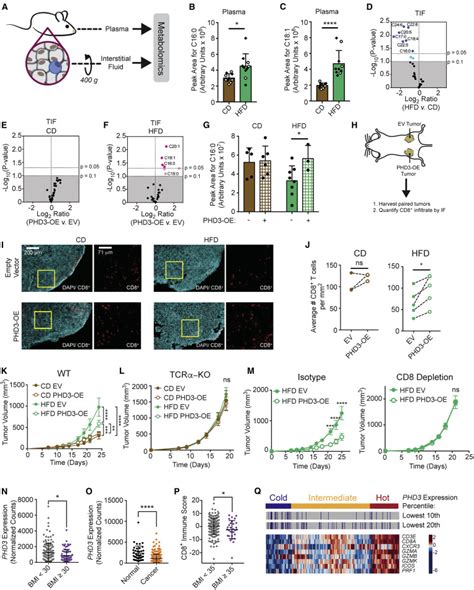 Obesity Shapes Metabolism In The Tumor Microenvironment To Suppress Anti Tumor Immunity Cell