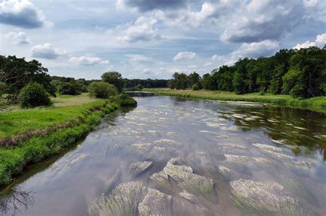 흐름 강 풍경 코스 꽃의 Pixabay의 무료 사진 Pixabay