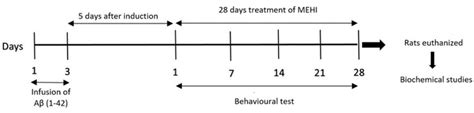 Diagrammatic Scheme Of An Experimental Procedure Download Scientific