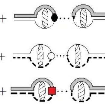 Definitions Of A Proton Deuteron B Proton Alpha C Deuteron Alpha Download Scientific