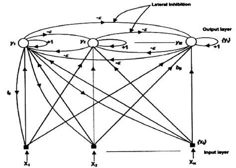 Figure Schematic Representation Of Art1 Network For Clustering