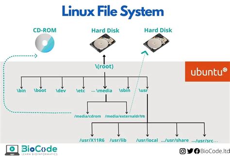 biocode the filesystem hierarchy standard fhs defines