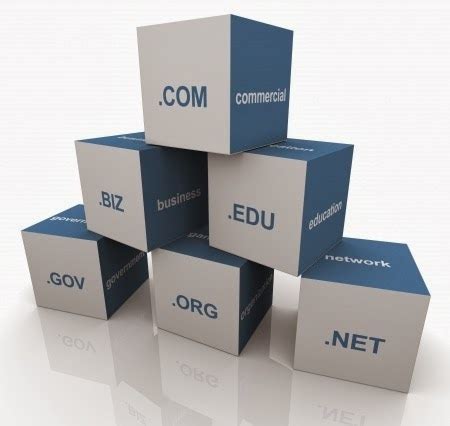 5 Best Niche To Launch Your Website This Year