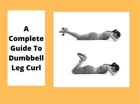 Dumbbell Leg Curl Muscles Work Variations Benefits Alternatives