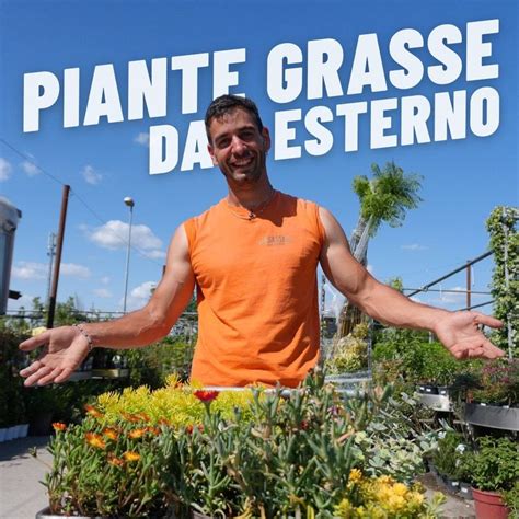 Sassi Garden Vendita Piante Online
