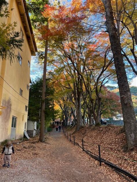 山梨旅行 Vol 2 紅葉の名所「もみじ回廊」を散策する ちょこみんブログ