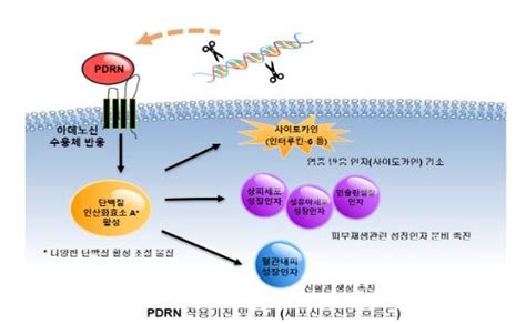 해양수산부 해조류를 활용한 친환경 화장품 만든다 뉴스앤피플