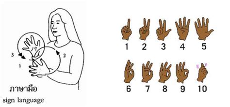 Thai Sign Language