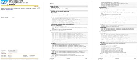 Sap Security Optimization Service Sos