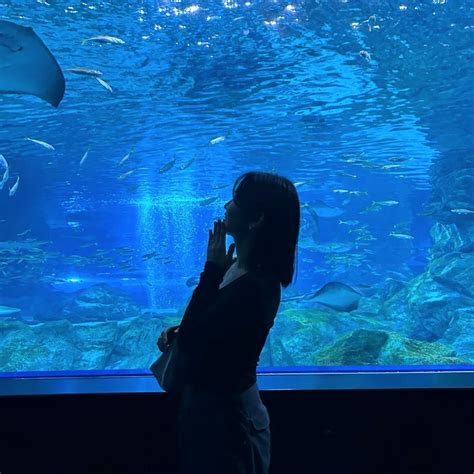 책 리뷰 02 어린 왕자 앙투안 드 생텍쥐페리