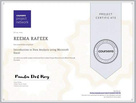 reema rafeek on linkedin data analysis microsoft excel