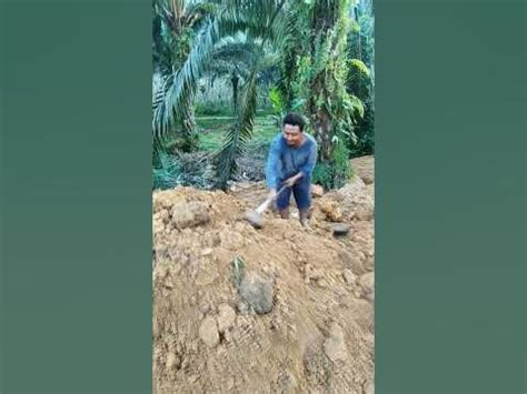 Mencangkul Tanah Perjuangan Suami Mencari Uang Youtube