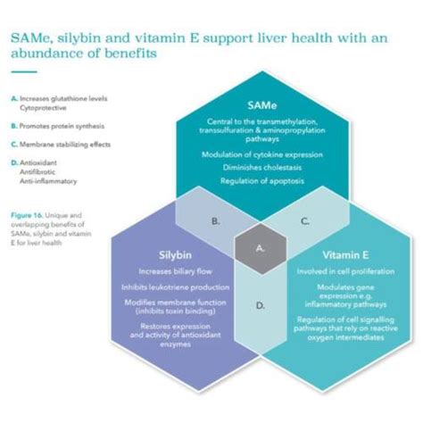 Paw Hepatoadvanced Tablets Small 60 Pack Ebay Australia