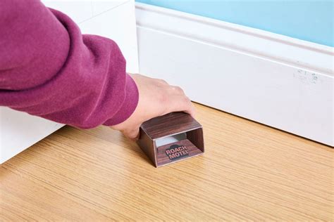 The 6 Best Roach Killers Of 2026 Reviewed By Bhg