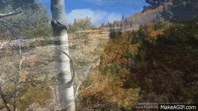 Nature 8 On Make A 