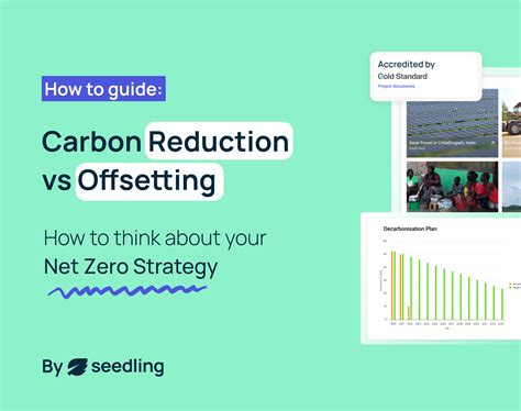 Carbon Reduction Vs Offsetting Our Guide Seedling