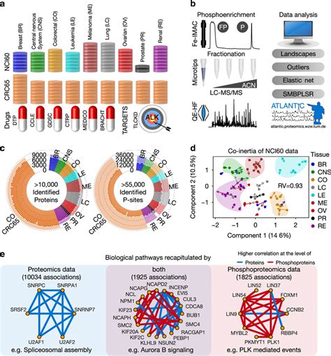 Proteome And Phosphoproteome Profiling Of 125 Tumor Cell Lines A