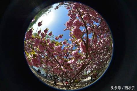 玉淵潭公園 鏡花緣 每日頭條