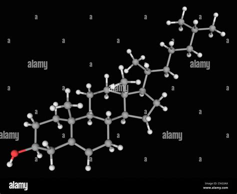 Cholesterol Molecule